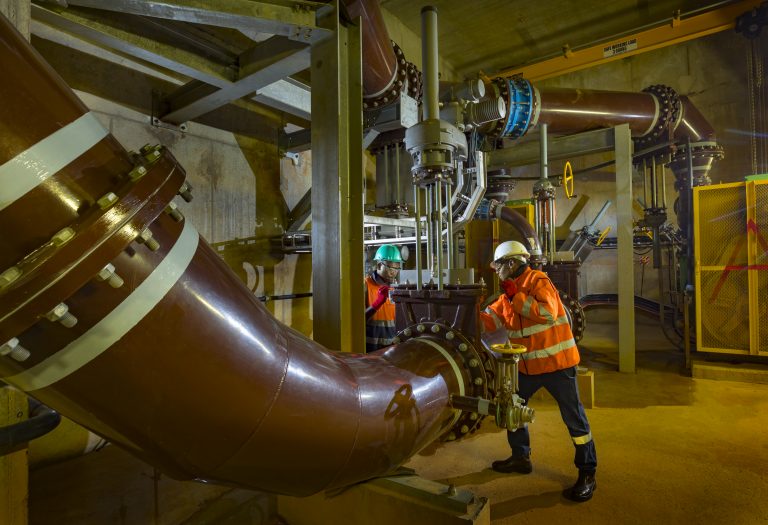 Becozyme Pump Station Gobbler - Becon Watertech